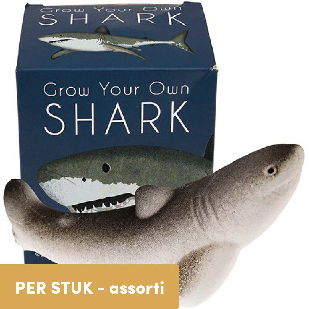 Rex london groeiei haai - assorti | ilovespeelgoed