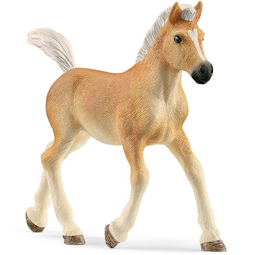 Schleich horse club haflinger veulen - 9 cm | ilovespeelgoed